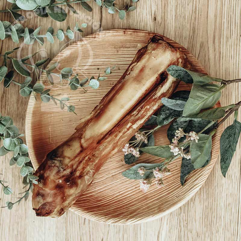 Turkey tail: Hongo medicinal - Vetropía Nutrición